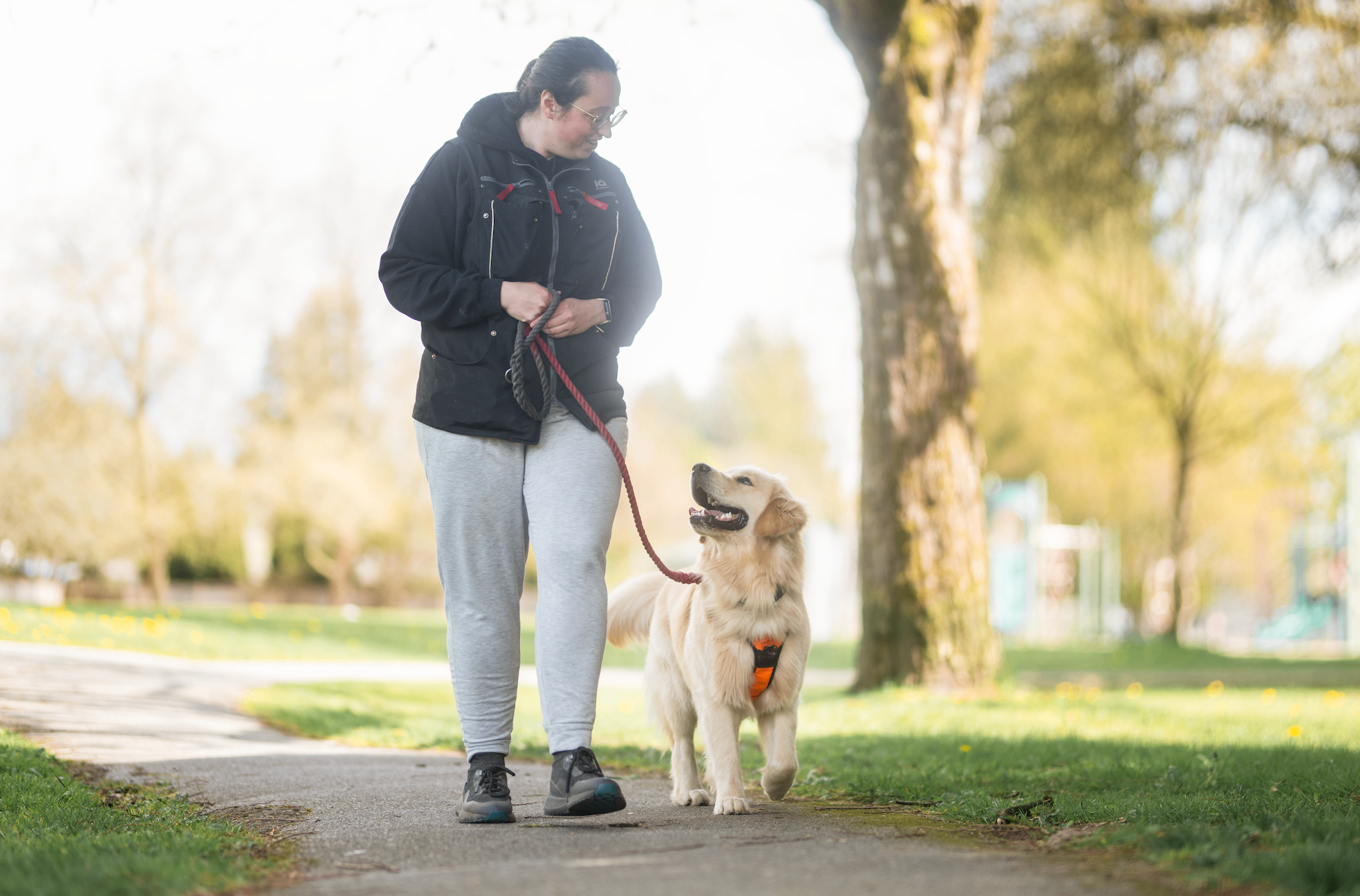 Tackling Reactivity - SpiritDog Training